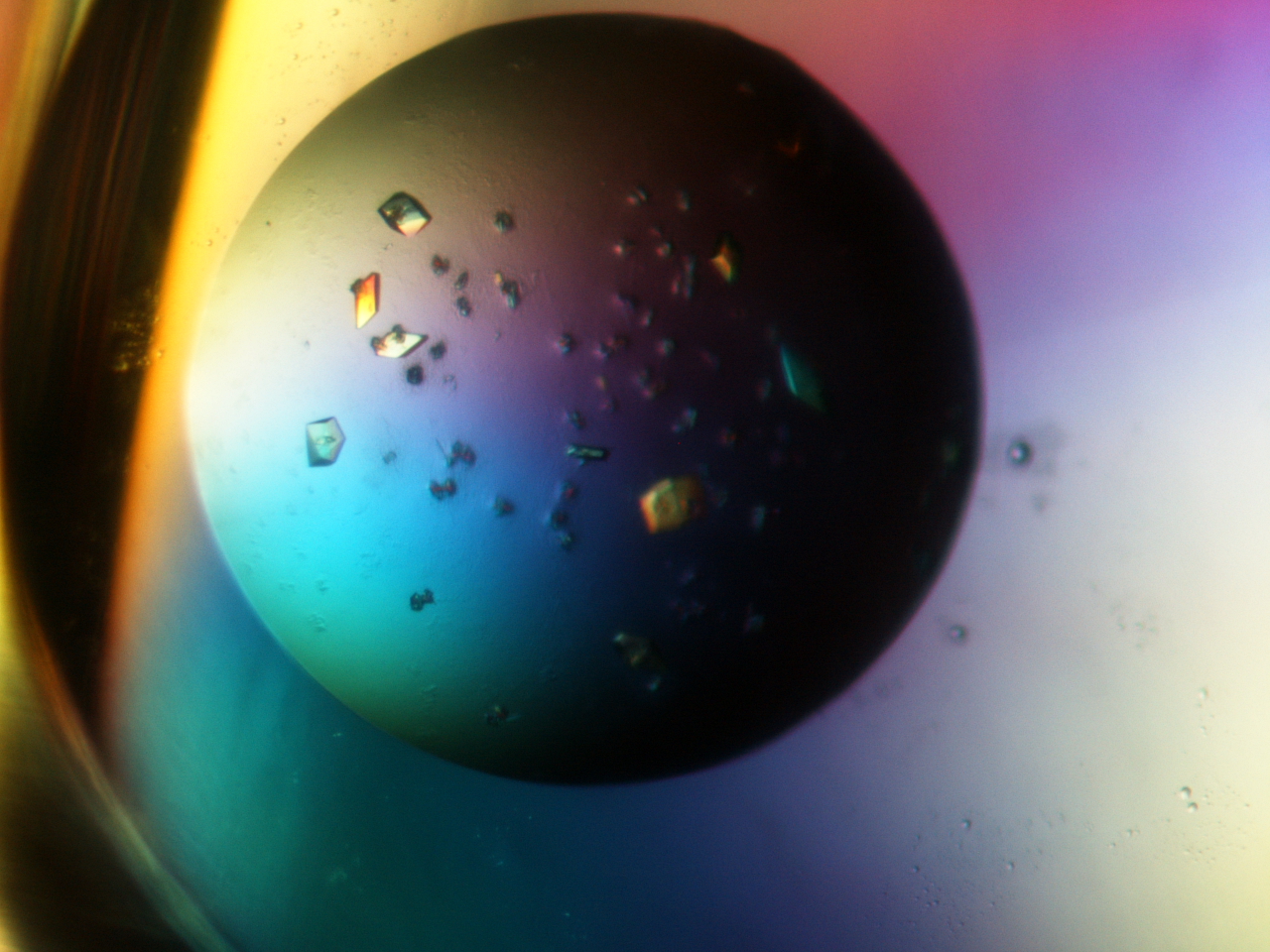 Calibre Scientific | Molecular Dimensions