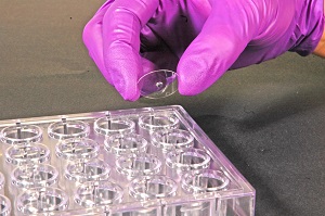 Calibre Scientific | Molecular Dimensions