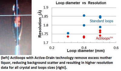 Calibre Scientific | Molecular Dimensions