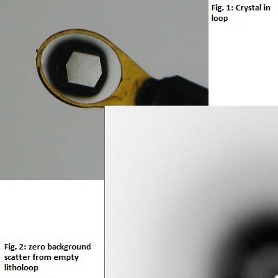 Calibre Scientific | Molecular Dimensions