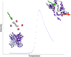 Calibre Scientific | Molecular Dimensions