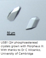 Calibre Scientific | Molecular Dimensions
