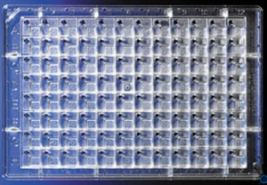 Calibre Scientific | Molecular Dimensions