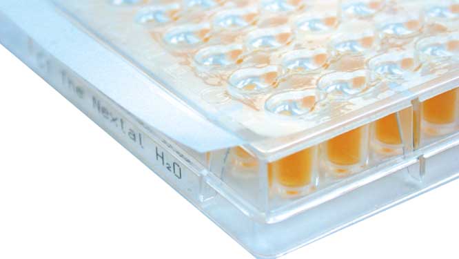 Calibre Scientific | Molecular Dimensions