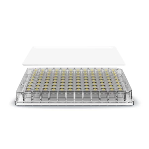 Calibre Scientific | Molecular Dimensions