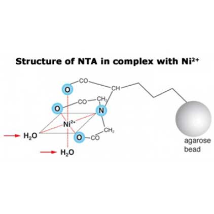 Calibre Scientific | Molecular Dimensions