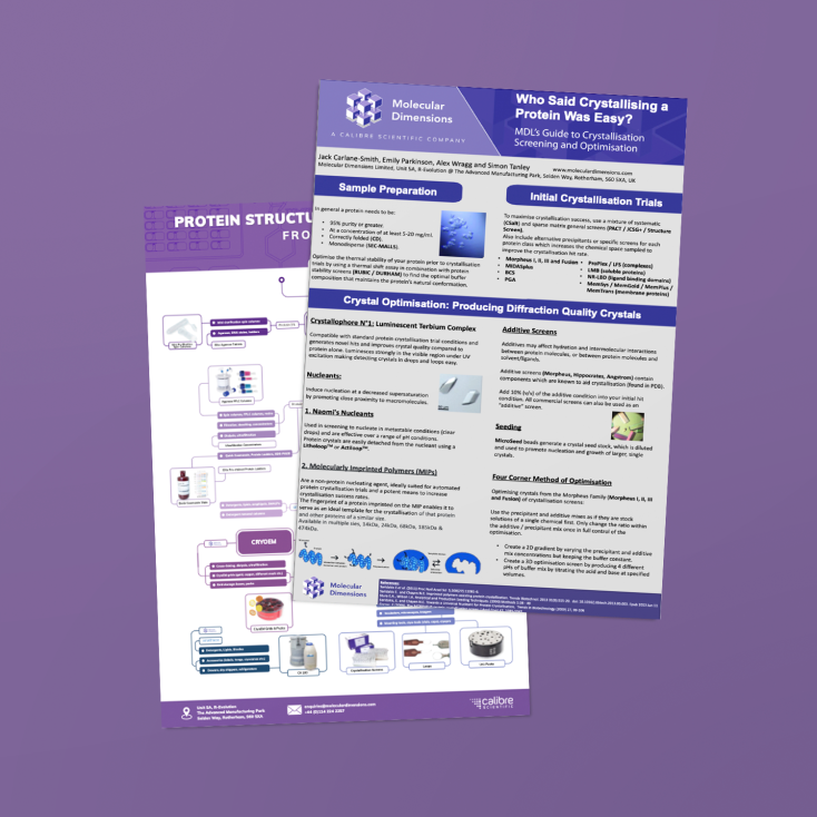 Molecular Dimensions