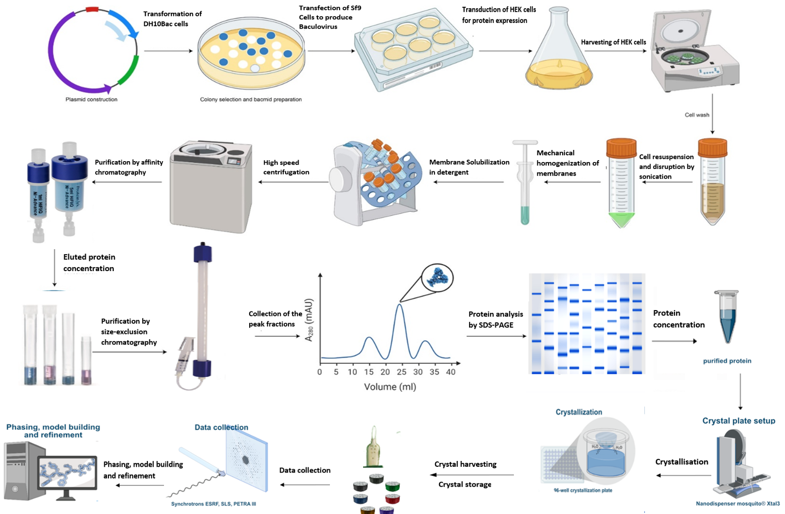 Calibre Scientific | Molecular Dimensions