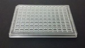 Calibre Scientific | Molecular Dimensions