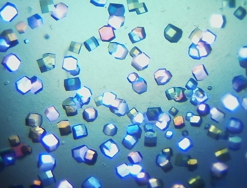 Molecular Dimensions