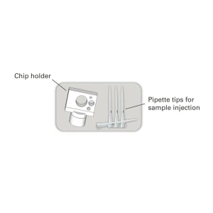 Molecular Dimensions