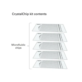 Molecular Dimensions