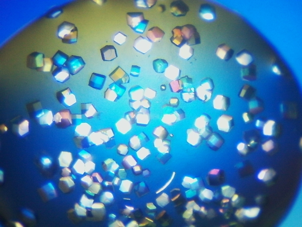 Calibre Scientific | Molecular Dimensions