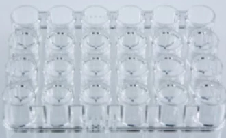 Molecular Dimensions