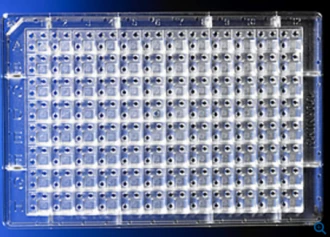 Molecular Dimensions