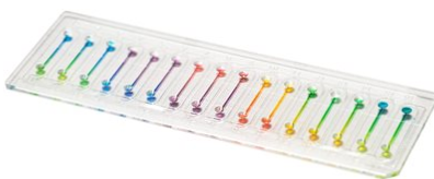 Calibre Scientific | Molecular Dimensions