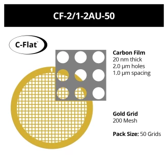 Molecular Dimensions