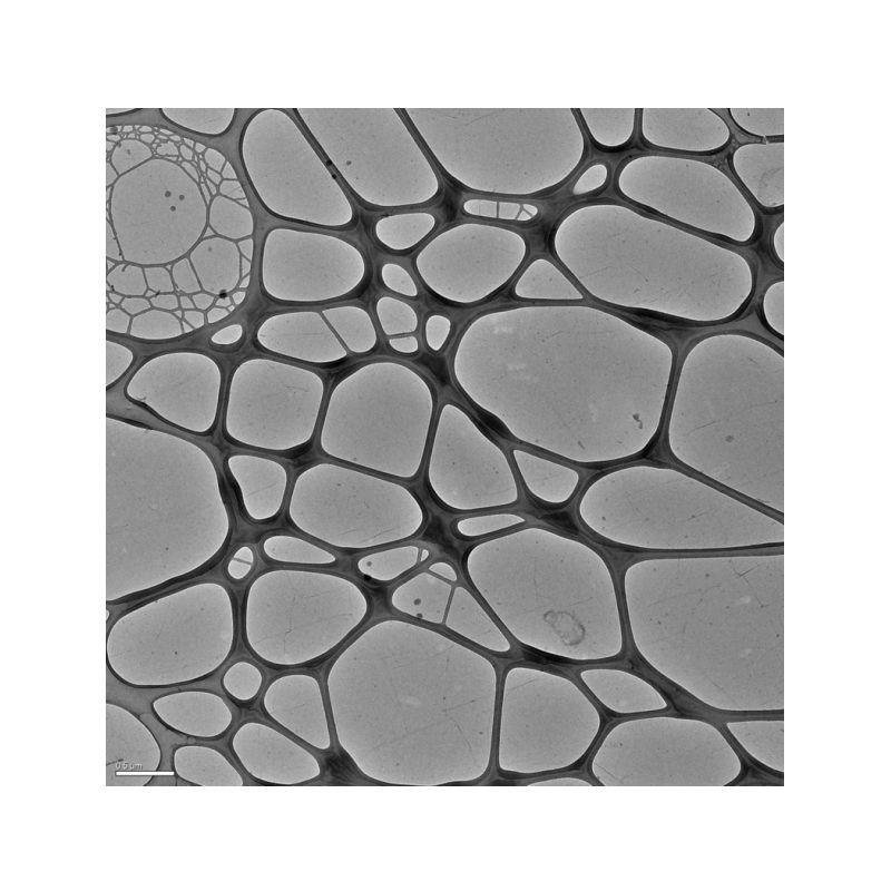 Calibre Scientific | Molecular Dimensions