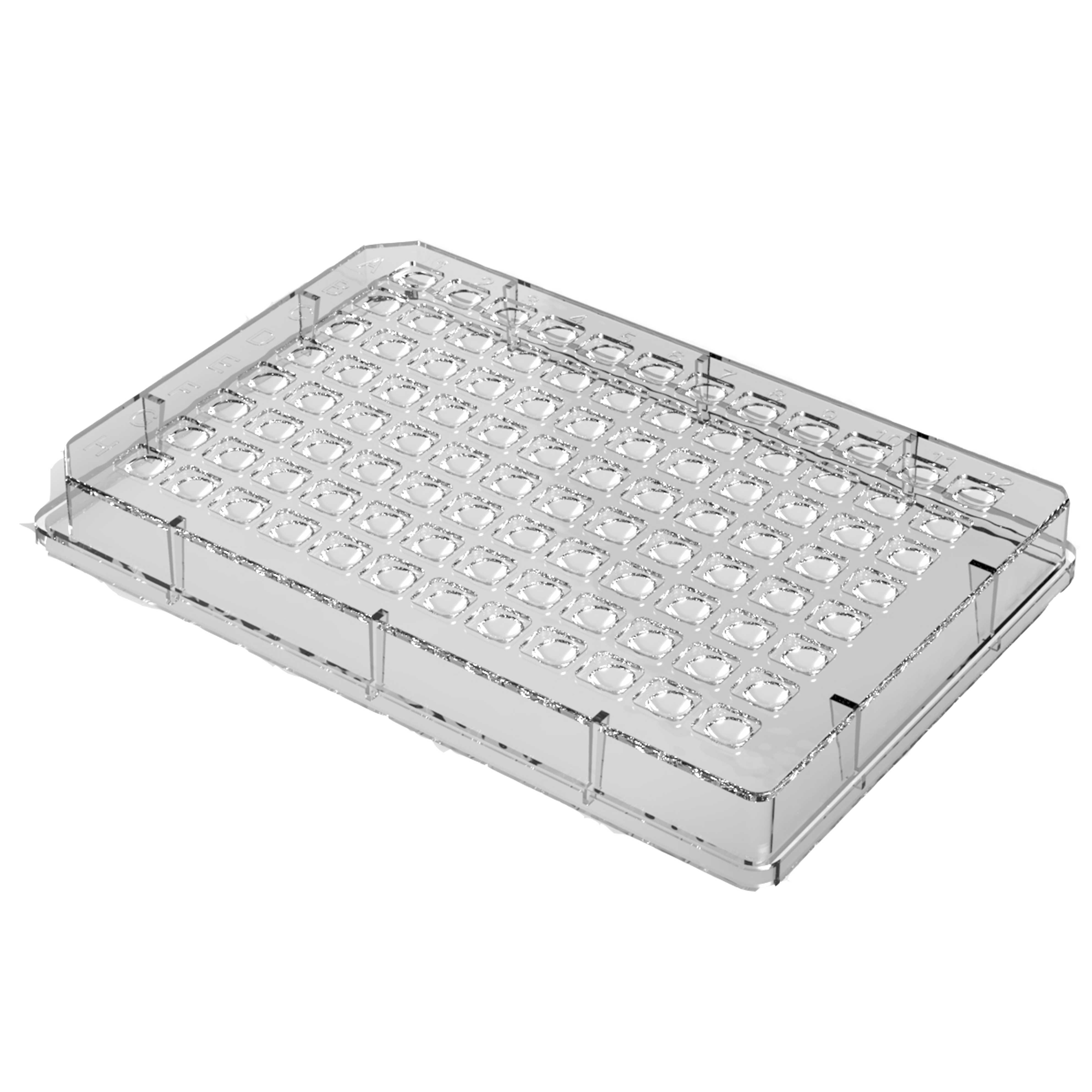 Molecular Dimensions