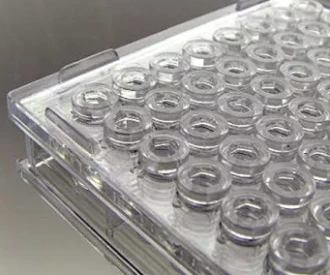 Molecular Dimensions