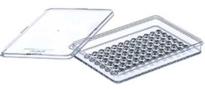 Molecular Dimensions