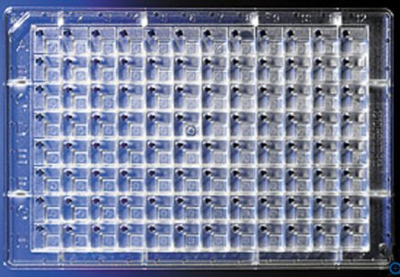 Molecular Dimensions