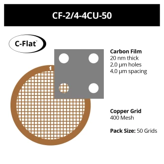 Molecular Dimensions
