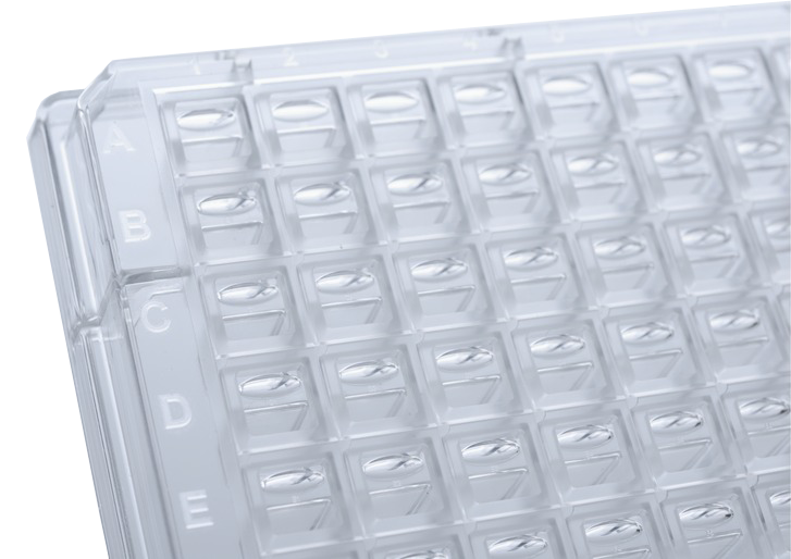 Calibre Scientific | Molecular Dimensions