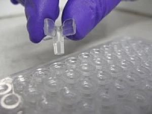 Molecular Dimensions