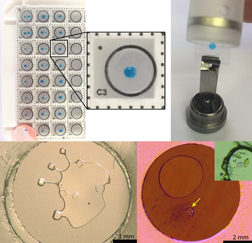 Calibre Scientific | Molecular Dimensions