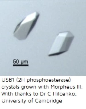Molecular Dimensions