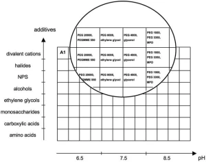 Molecular Dimensions