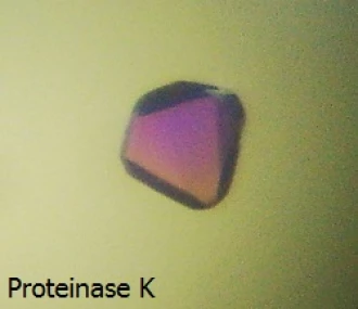 Calibre Scientific | Molecular Dimensions