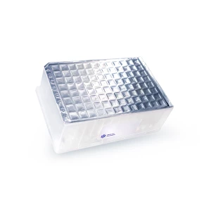 Molecular Dimensions