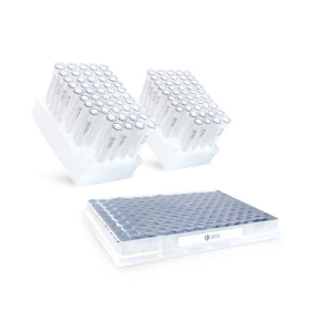 Molecular Dimensions