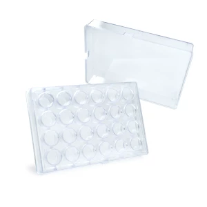 Molecular Dimensions