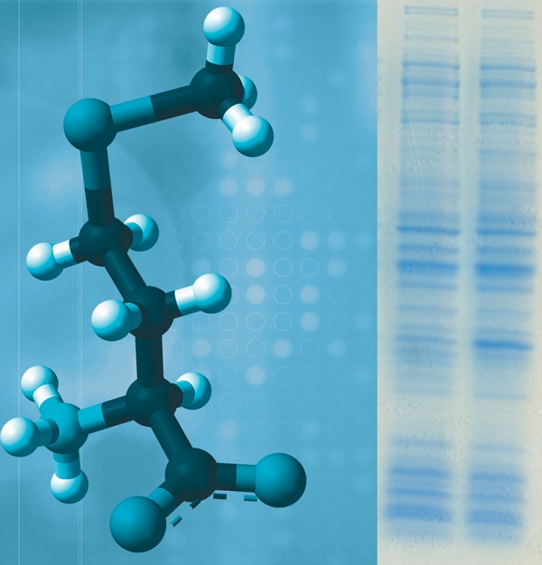 Molecular Dimensions