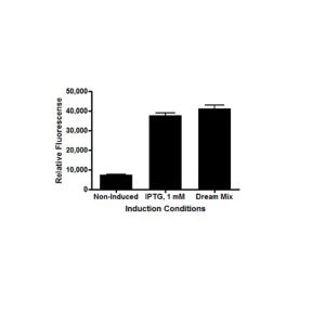 Molecular Dimensions