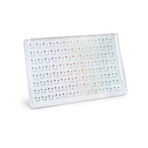 Molecular Dimensions