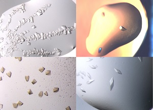 Calibre Scientific | Molecular Dimensions