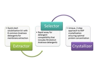 Molecular Dimensions