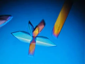 Molecular Dimensions