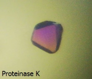 Calibre Scientific | Molecular Dimensions