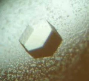 Molecular Dimensions