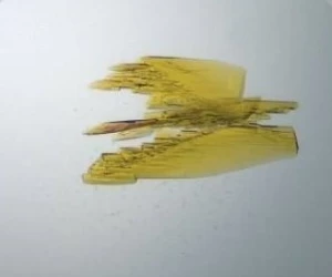 Molecular Dimensions