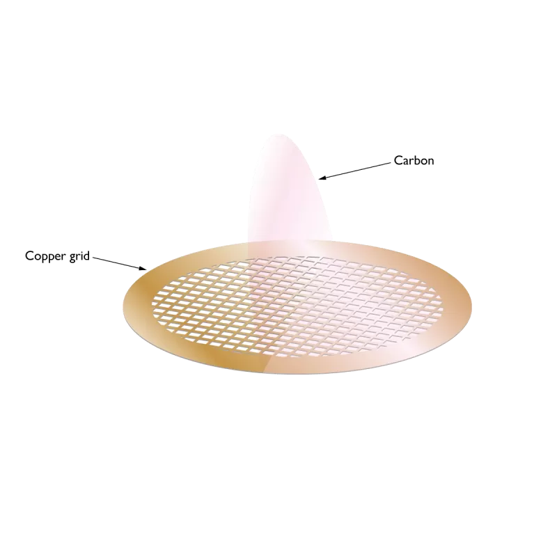 Calibre Scientific | Molecular Dimensions