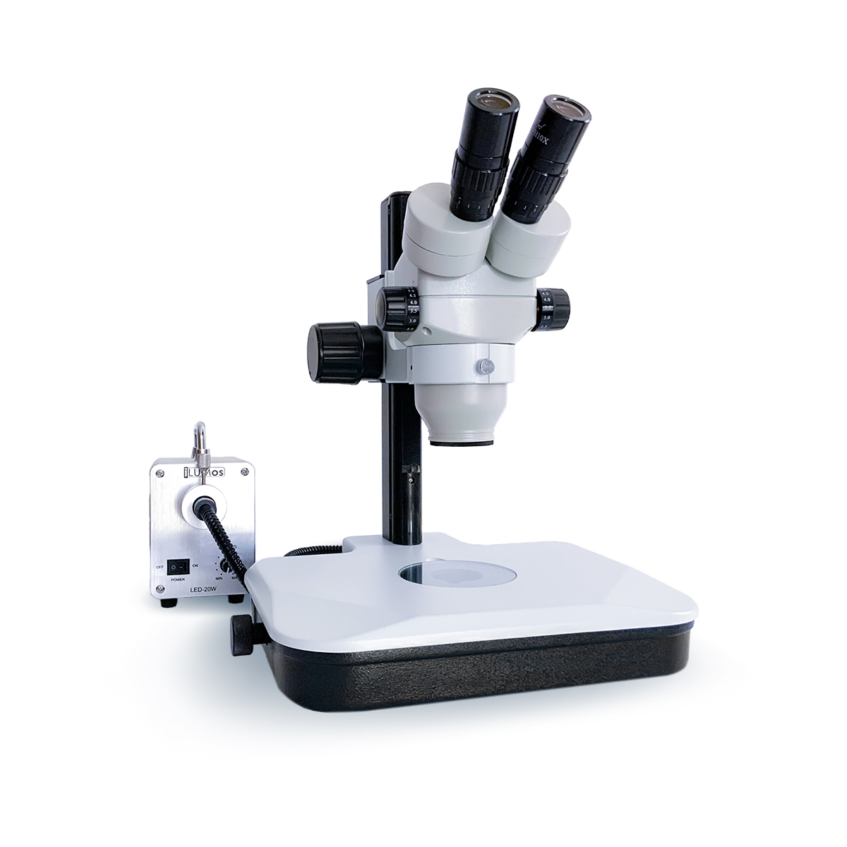 Calibre Scientific | Molecular Dimensions