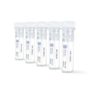 Molecular Dimensions